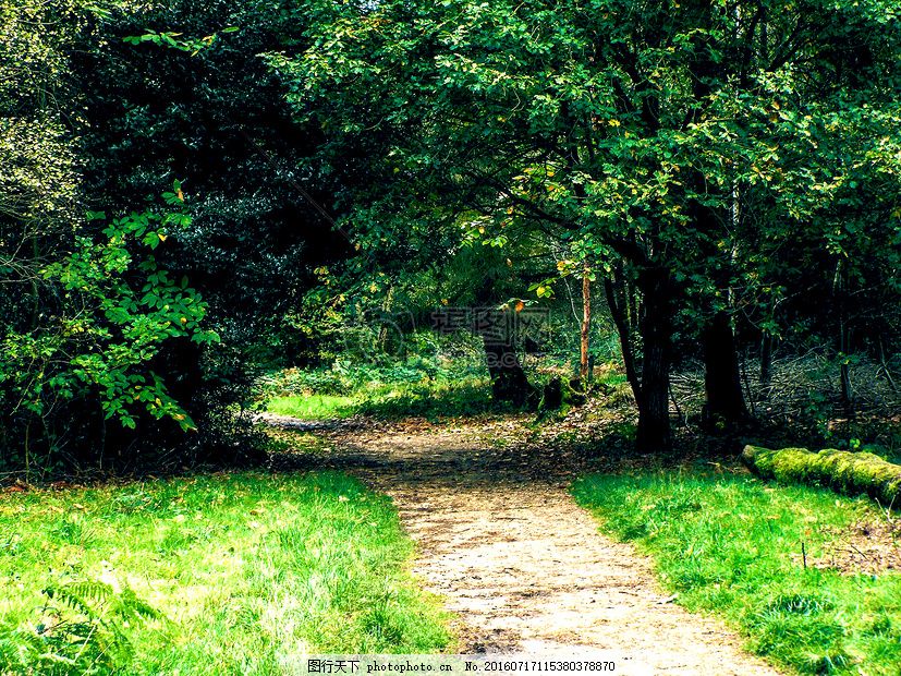 000尺寸19201440像素模式RGB体积4.252MB图片_其他_其他-图行天下素材网